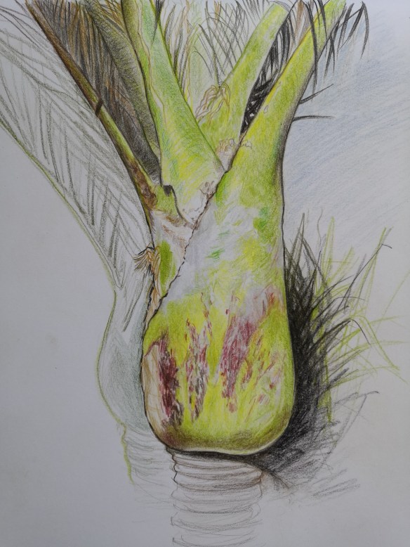 Three stages of a drawing | ARTISTRY